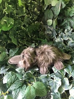 Online Store - Page 3 of 4 - The Lost Forests